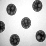 Wafer-Bump-Void_2 | SEC